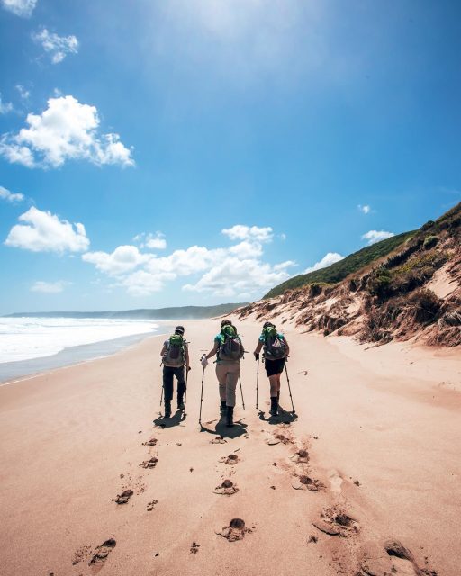 Australia’s most inspiring walking holidays | Great Walks of Australia