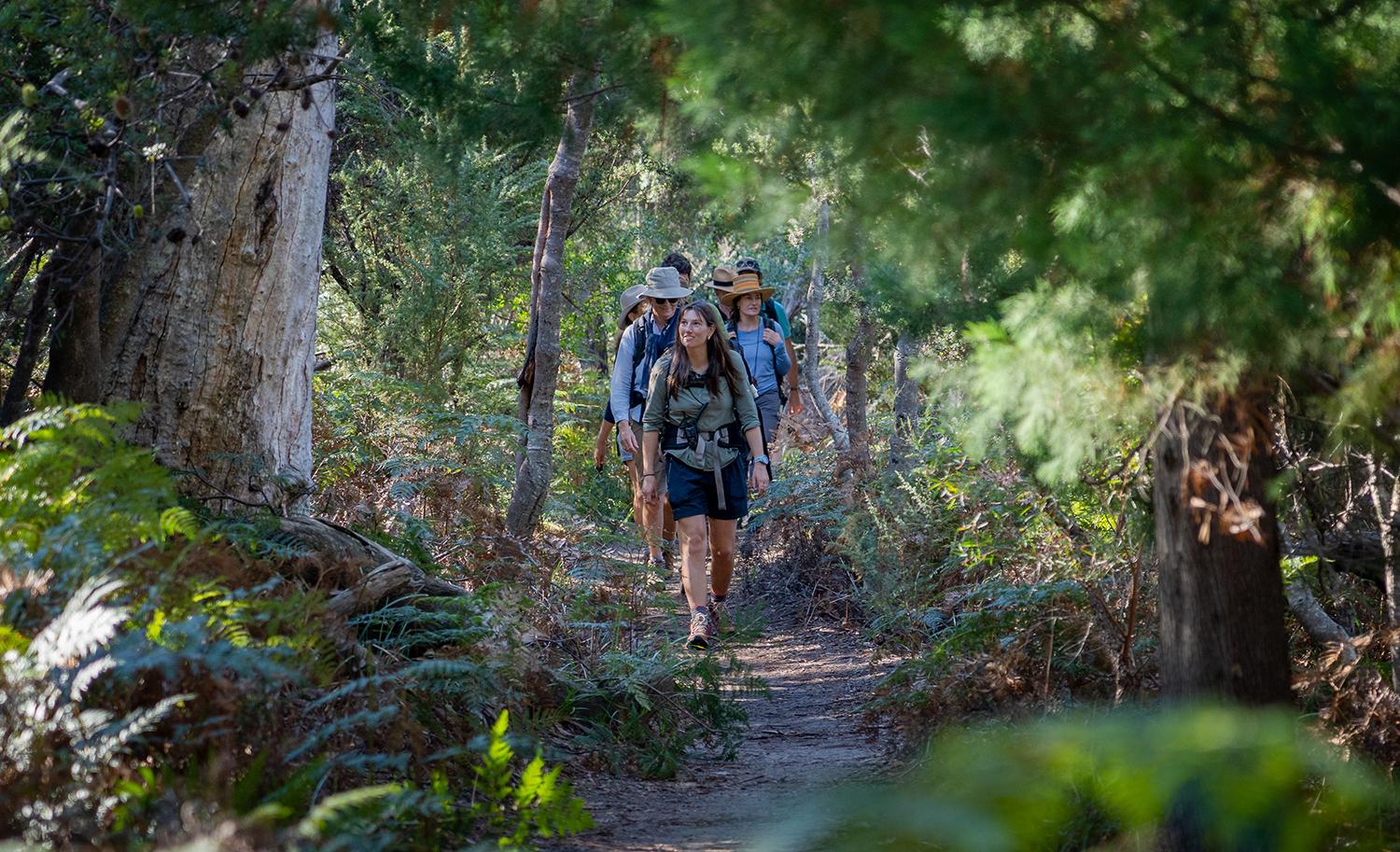 Celebrate 10 Years Of Great Walks Of Australia With 10% Off All Great ...